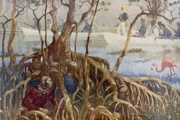 The Seminole Wars: A prolonged struggle in the swamps of Florida