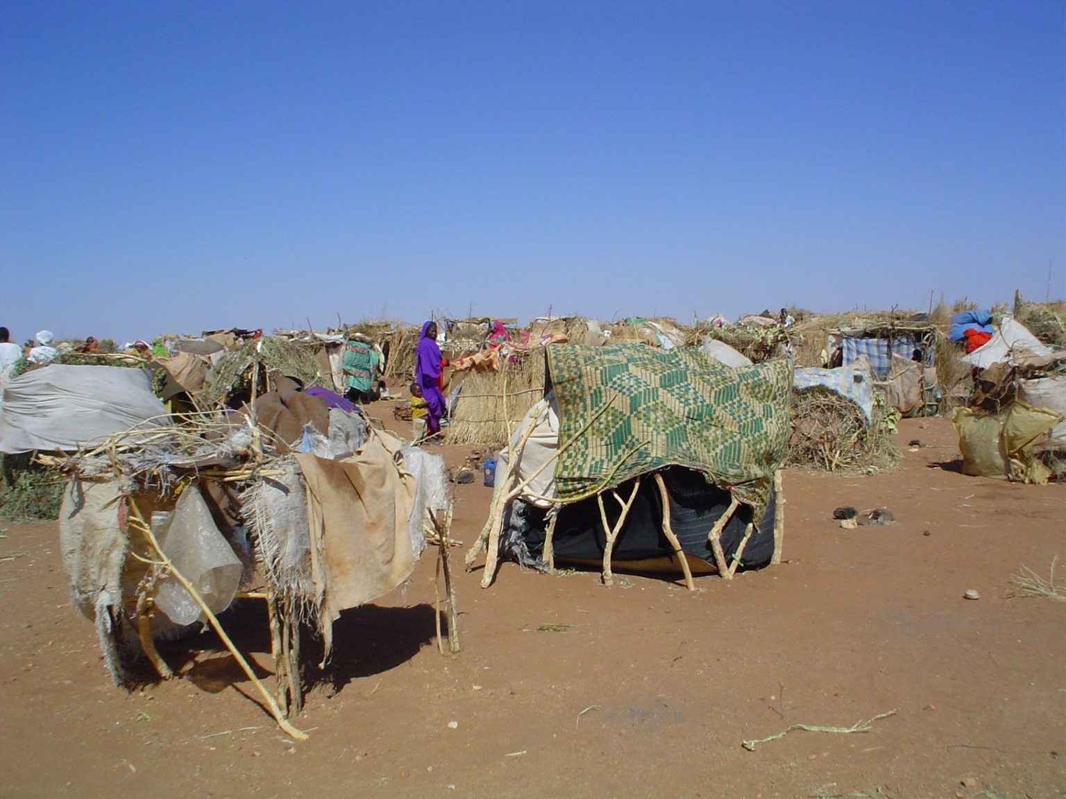 The forgotten fire: A history of the Darfur Genocide