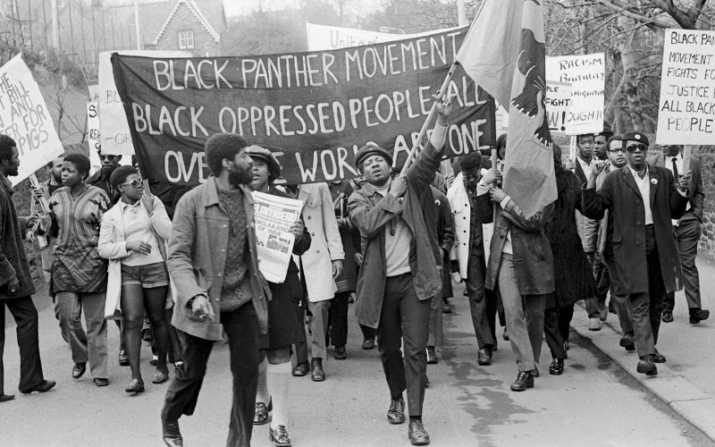 The British Black Panther Movement